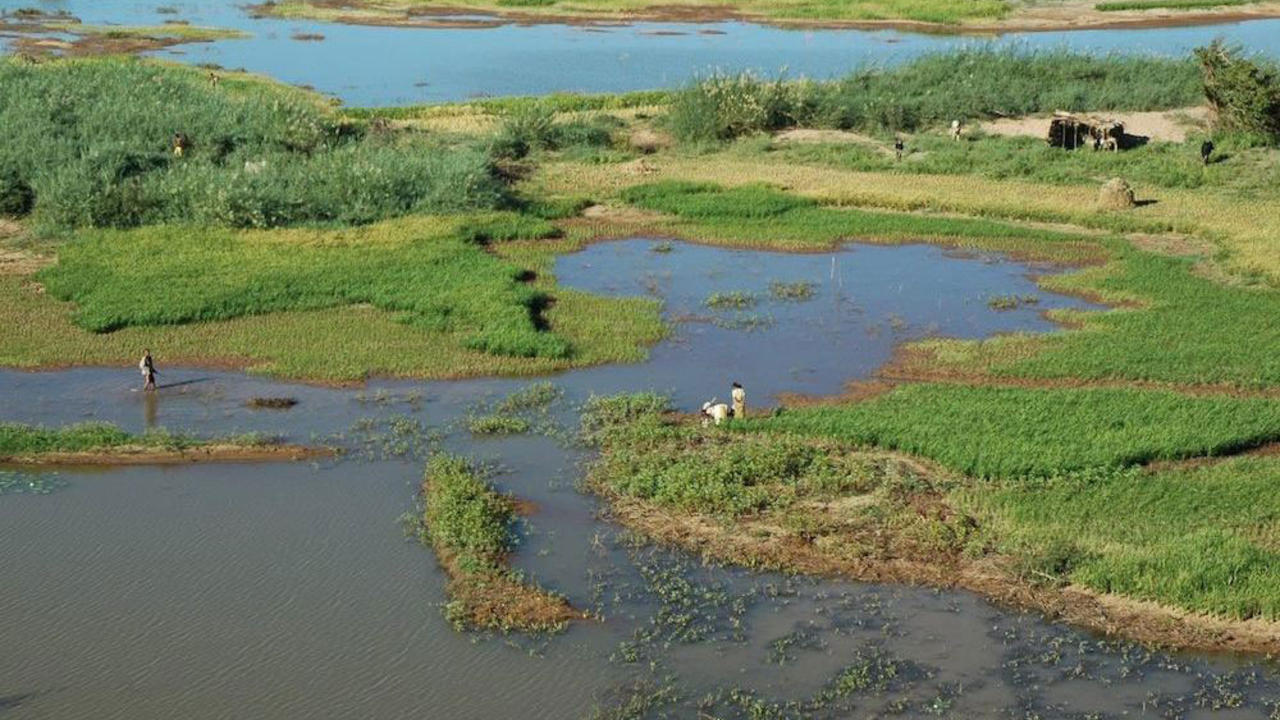 Conservation outside protected areas: Crop Wild Relatives
